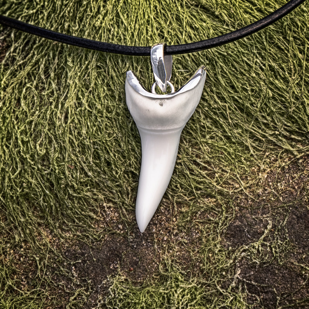 Shark Birthday Present Idea - Large Mako Shark Tooth In Silver ...