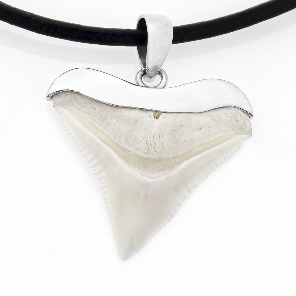 Shark Tooth Necklace - Oceanicshark Australia