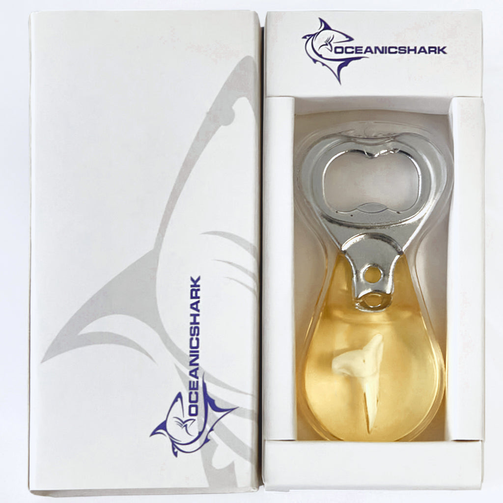 Shark Tooth Bottle Opener | Oceanicshark Australia