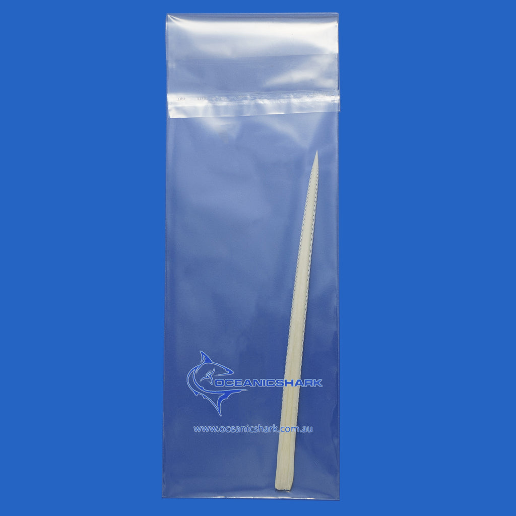 Genuine Stingray Barb | Oceanicshark Australia