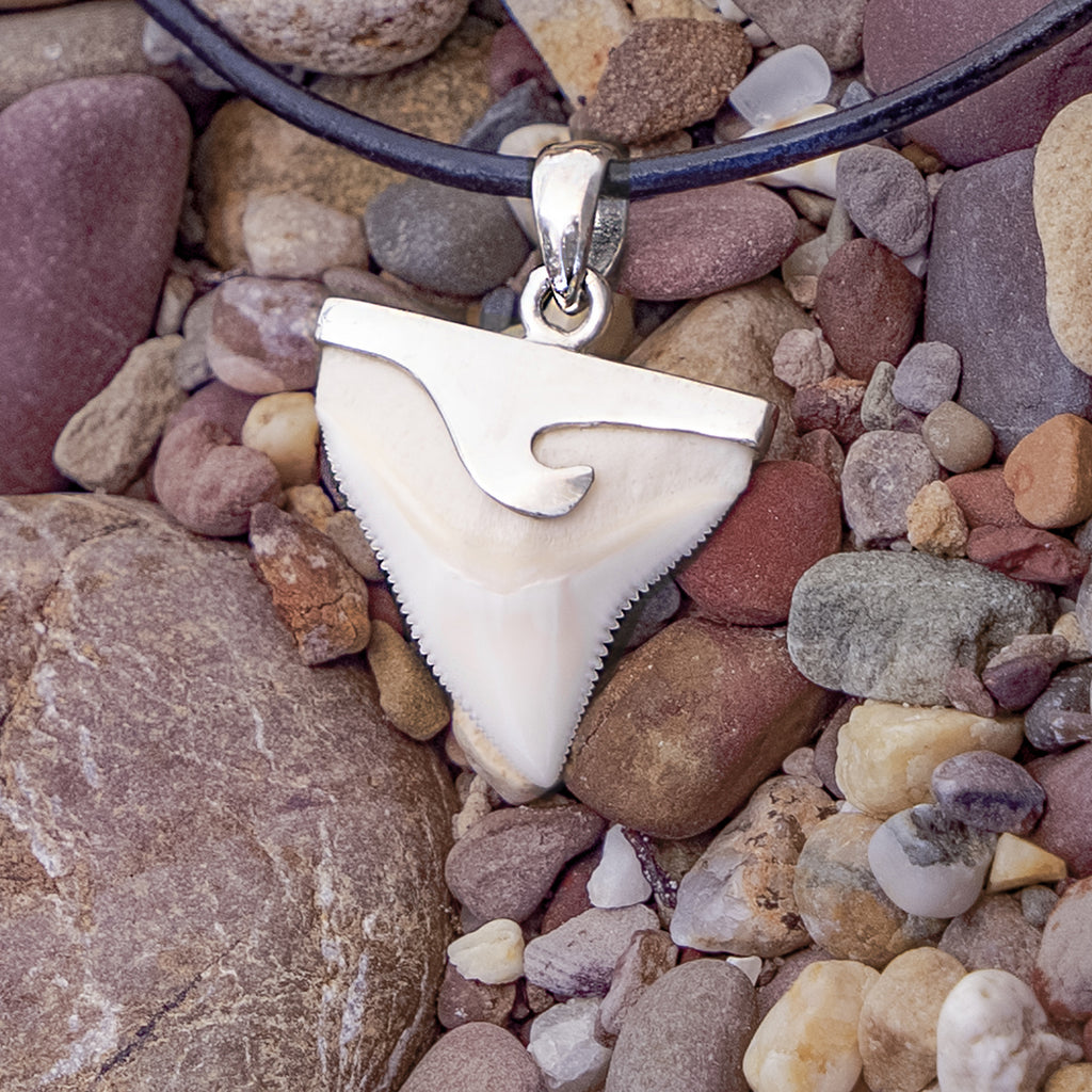 Bull Shark Tooth Silver Wave Surfer Pendant | Worldwide Delivery ...
