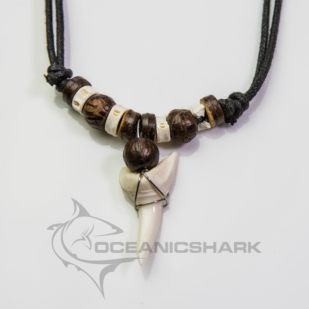 Large Mako shark tooth wood fish bone spine c204 – Oceanicshark