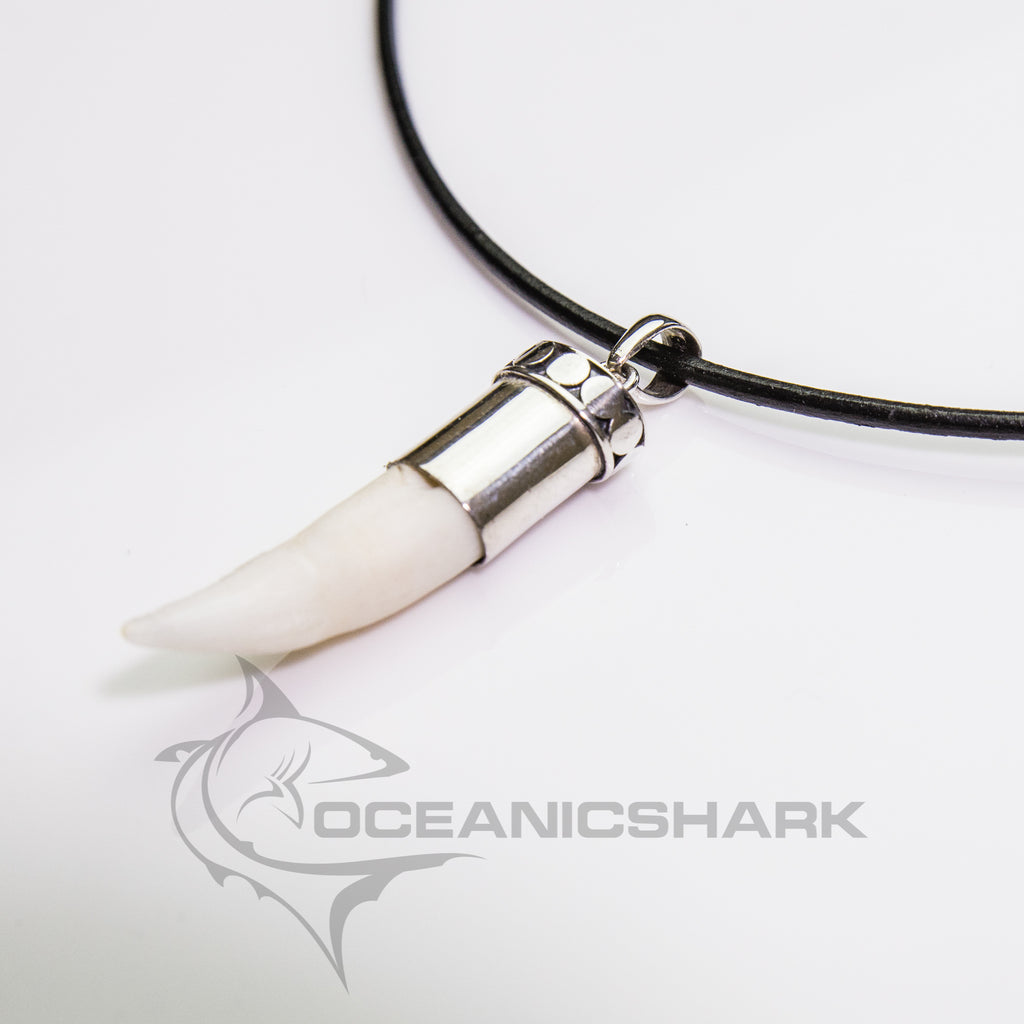 Crocodile Tooth Silver Pendant – oceanicshark