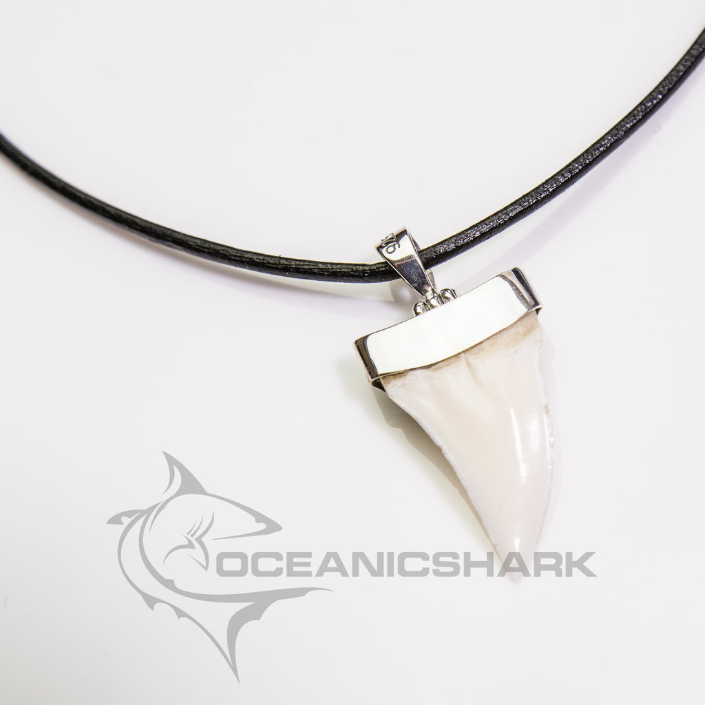Mako Shark Tooth Silver Pendant | Real Shark Jewelry Australia ...